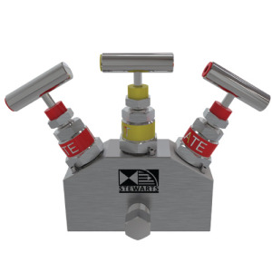 3 Valve Manifolds