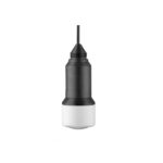 VEGASWING 63 Vibrating Level Switch - Process Instrumentation